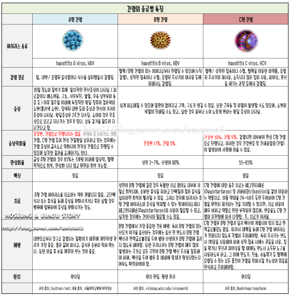 A형 간염 B형 간염 C형 간염hepatitis C의 위험성 감염 증상 치료 그것이 알고 싶다~ 네이버 블로그