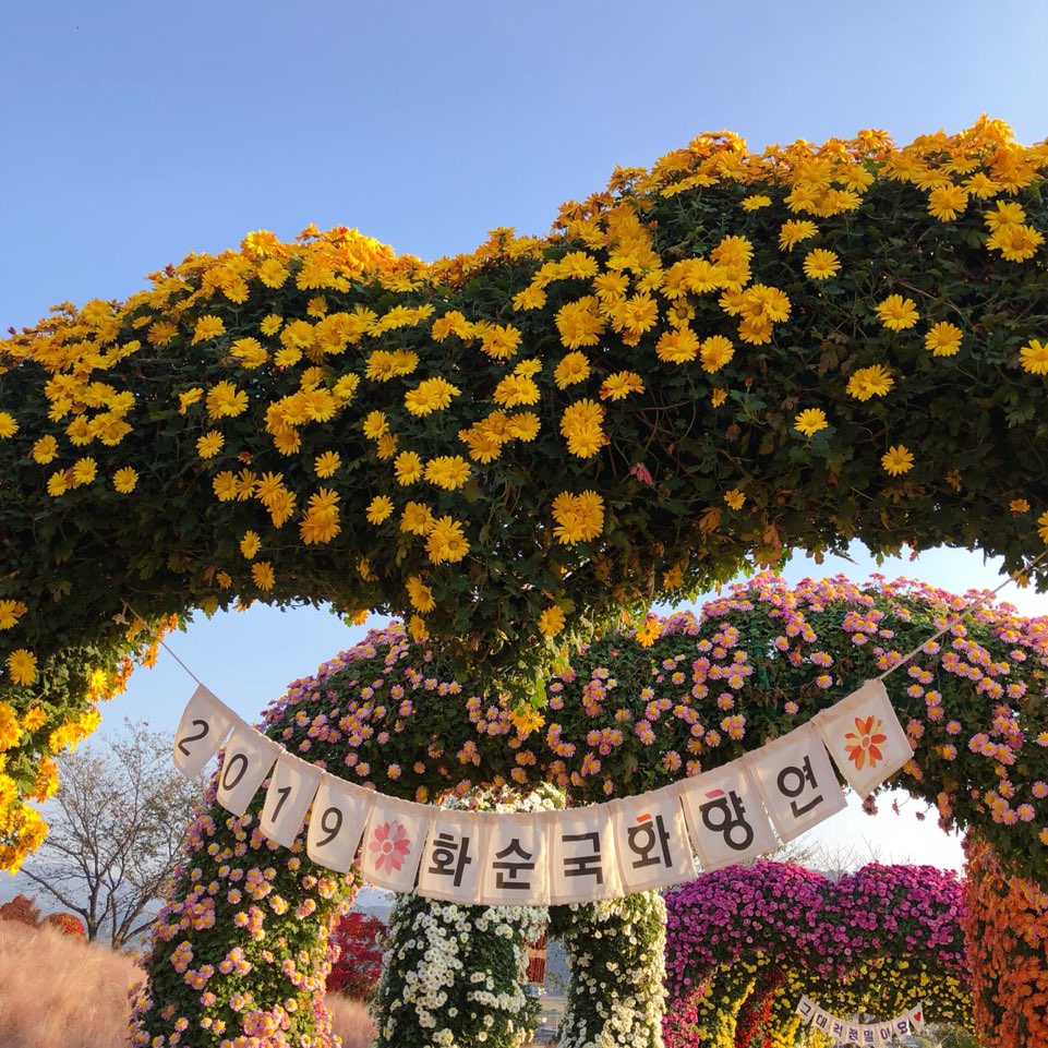 광주 근교 가볼만한곳 전남 여행 화순적벽 투어 카페 맛집도 소개해요 네이버 블로그